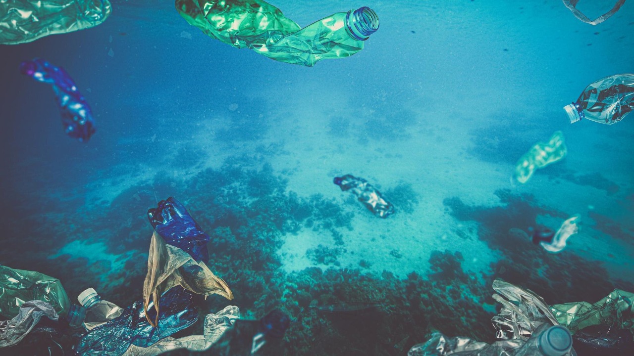 Deep ocean microplastics are piling up faster than feared