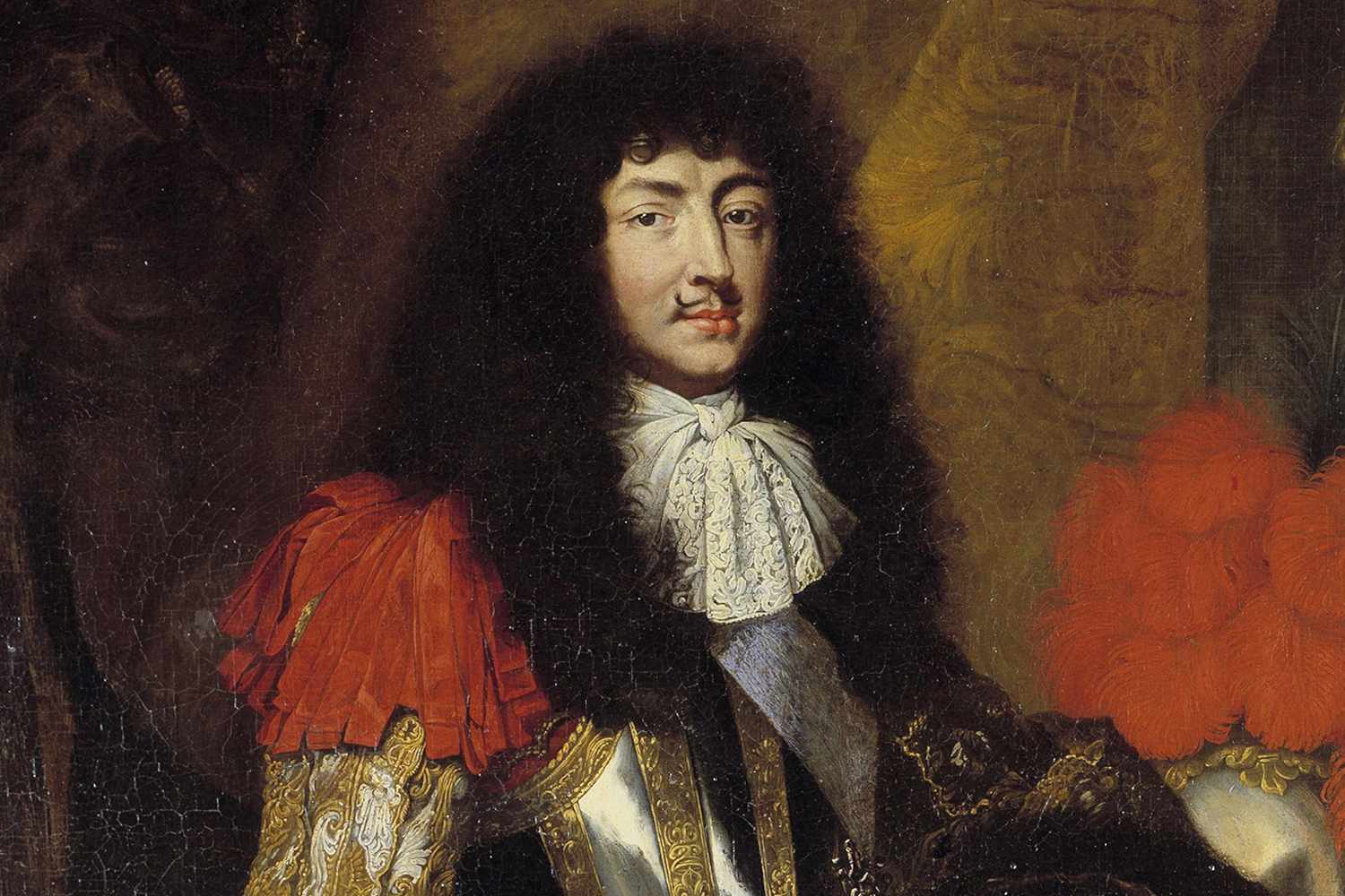 Louis XIV's cause of death revealed by DNA from his mummified heart 310 ...