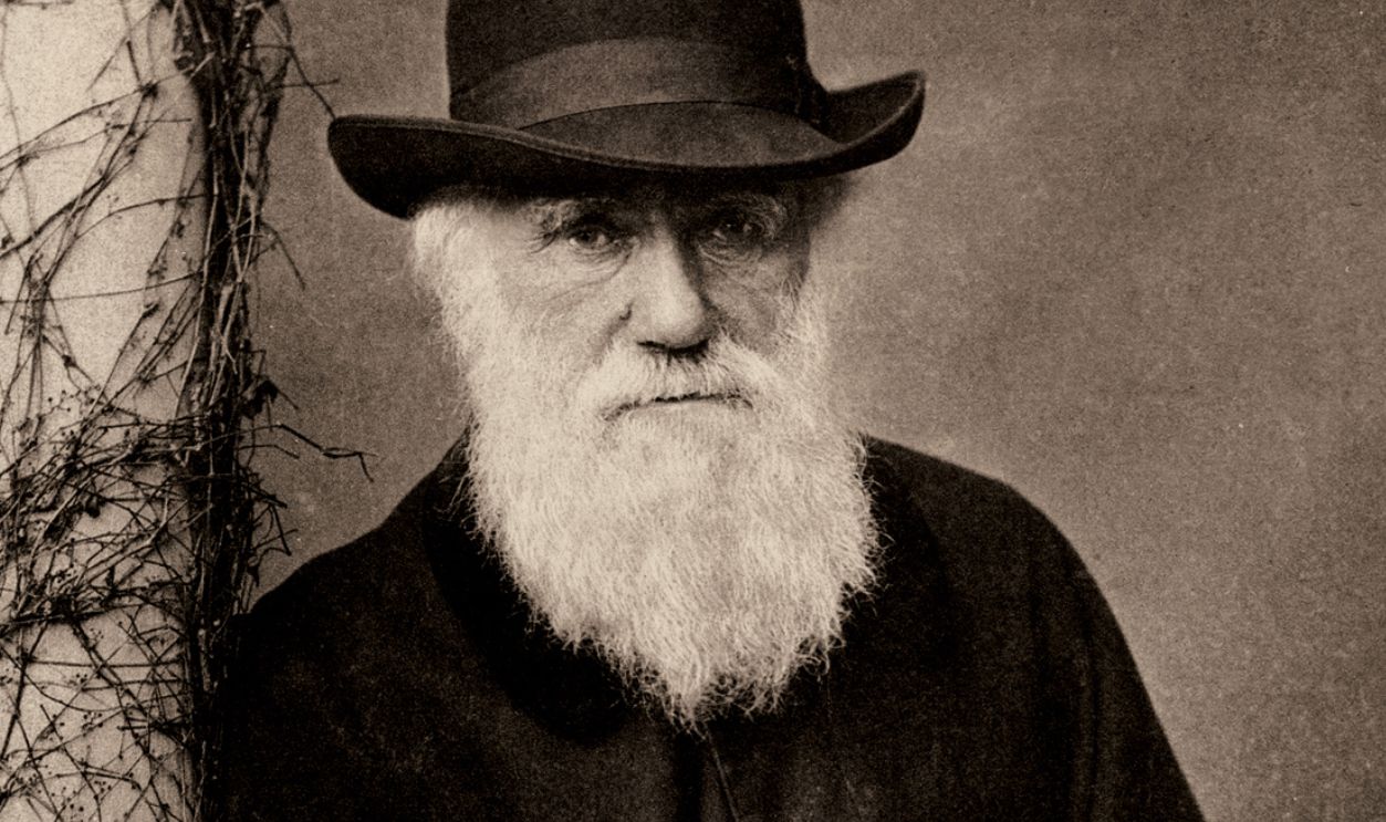 Many assume Darwin’s “survival of the fittest” means only the strongest ...