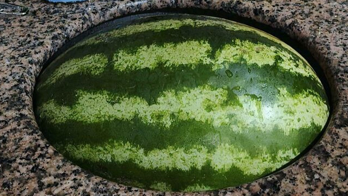 Very satisfying: 48 times random things matched up so well it felt ...