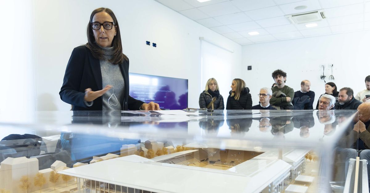 Franchi, interventi e date. Previsto abbattimento alberi e spostamento ...