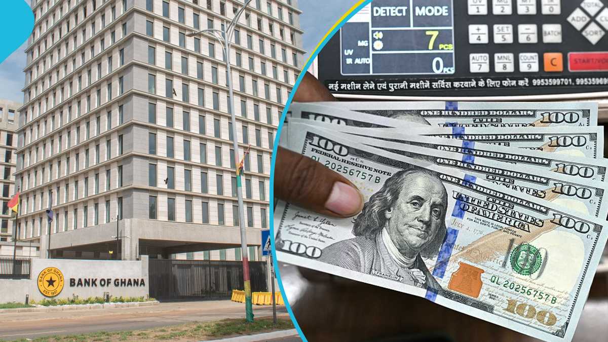 Cedi strength: Bank of Ghana pumped $10 billion into forex market to ...