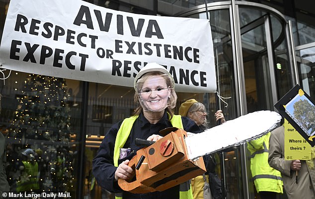 Campaigners to save 170-year-old tree 'take fight' to Aviva at UK HQ ...