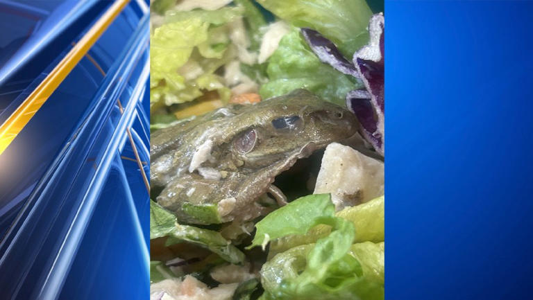 Dead frog found in salad kit after shopping at Ohio Kroger