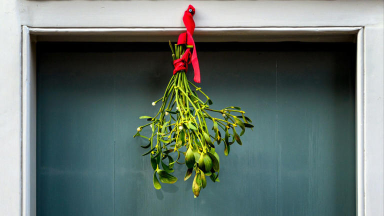 Prepare to be fired if you do these things at the office Christmas party