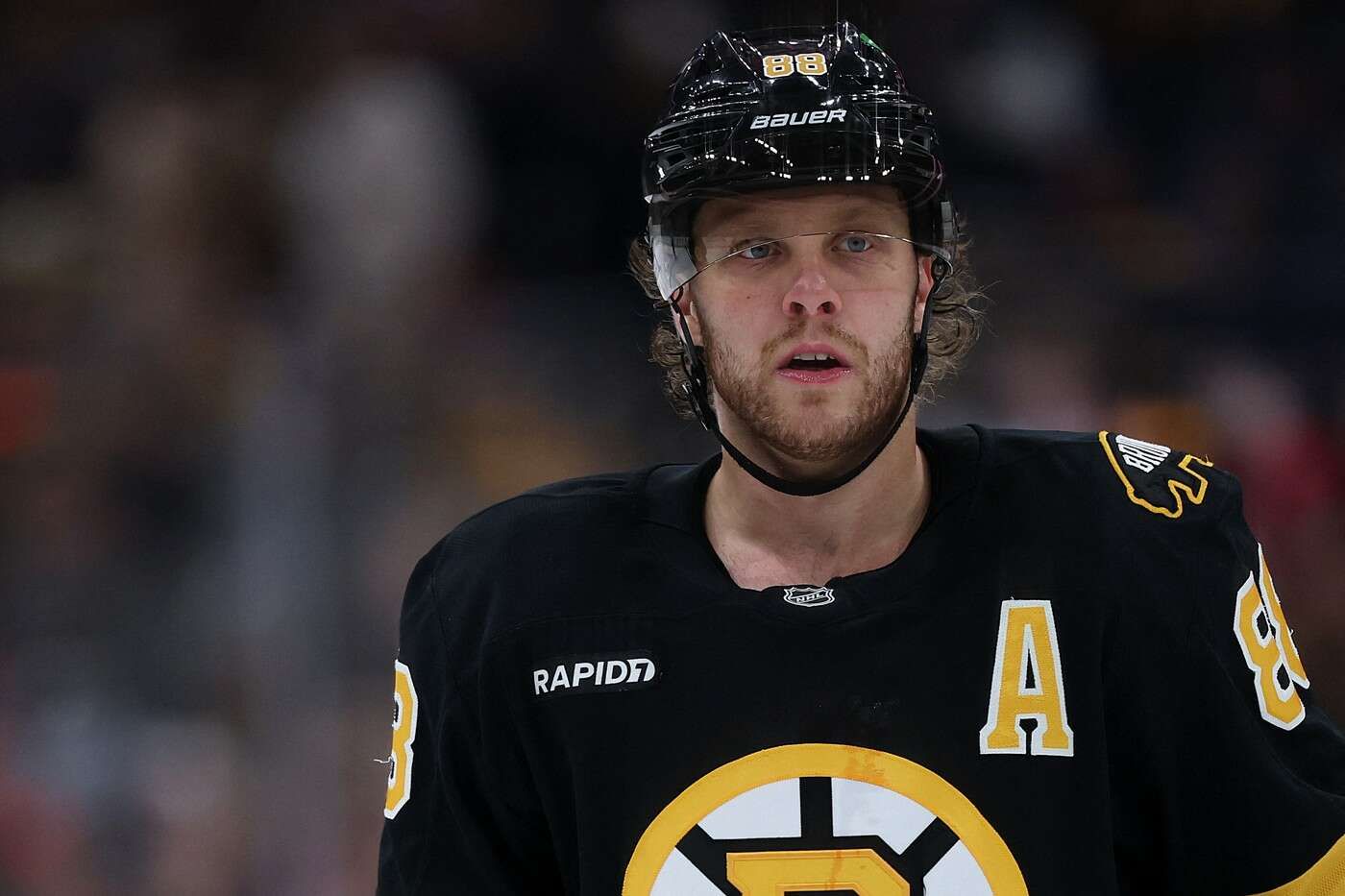 NHL ONLINE: Pastrňák se Zachou proti Seattlu, Hronek hraje v Columbusu ...