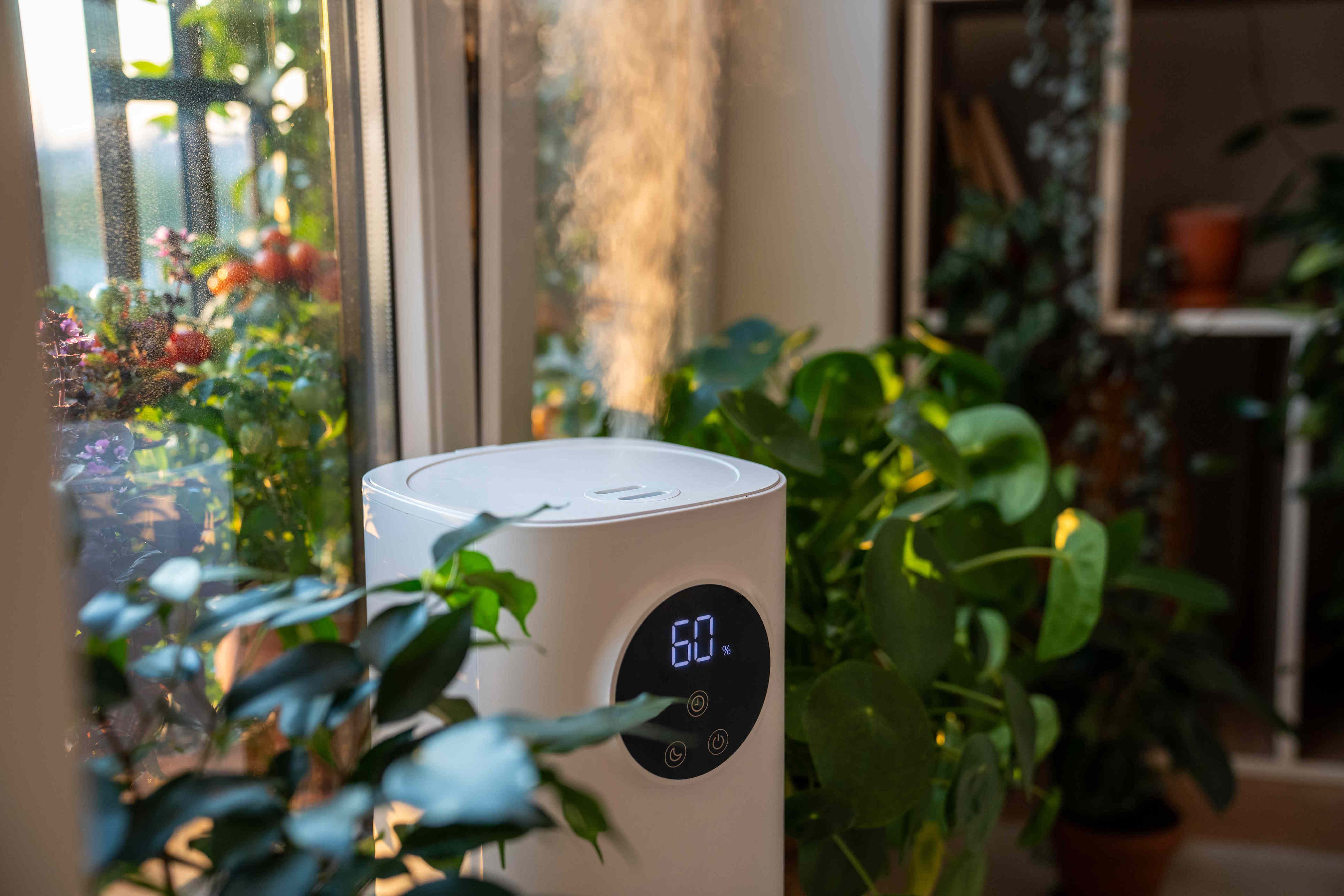 The humidifier mistake that could be affecting your health
