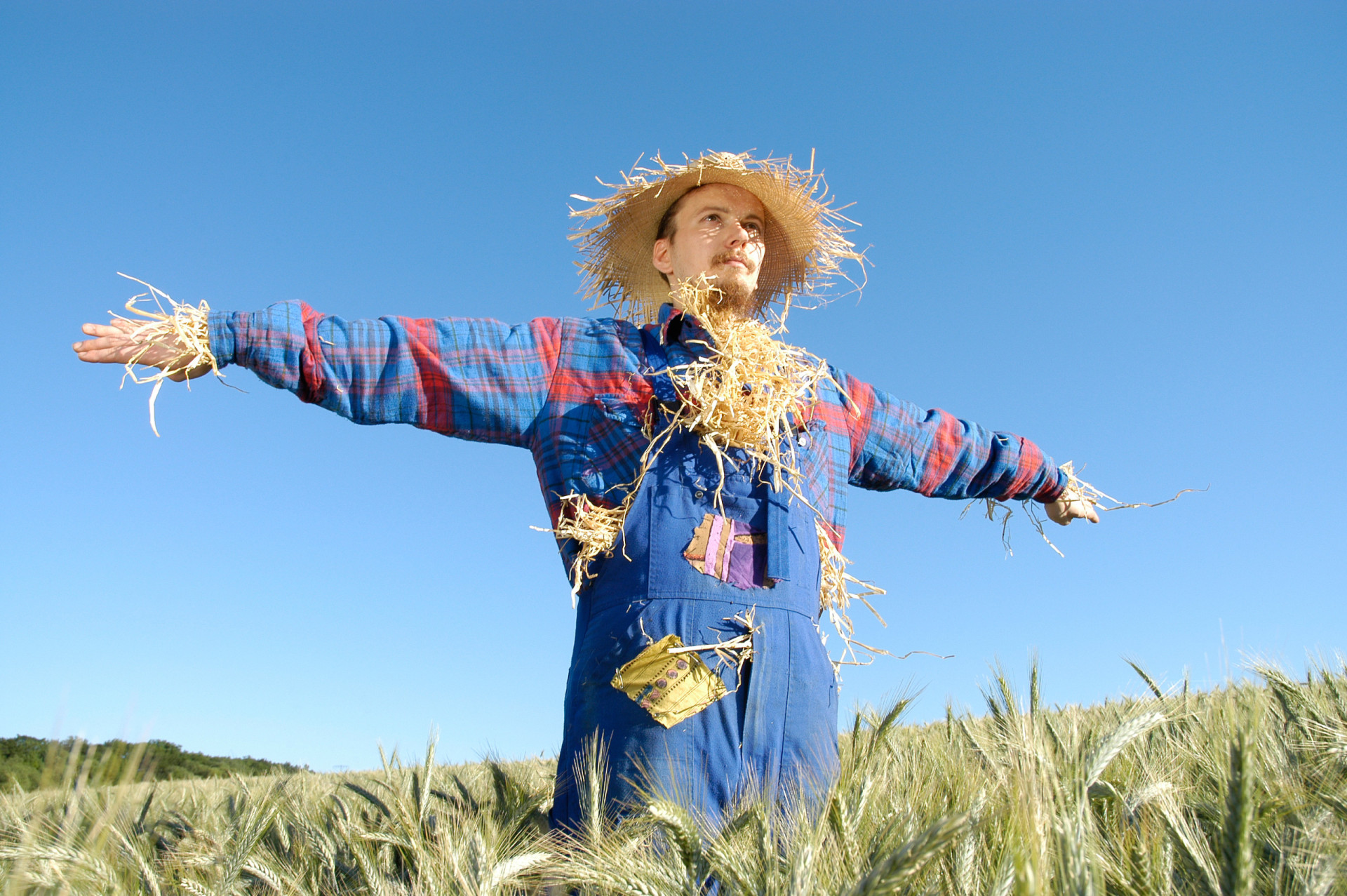 Unusual jobs you probably didn't know existed