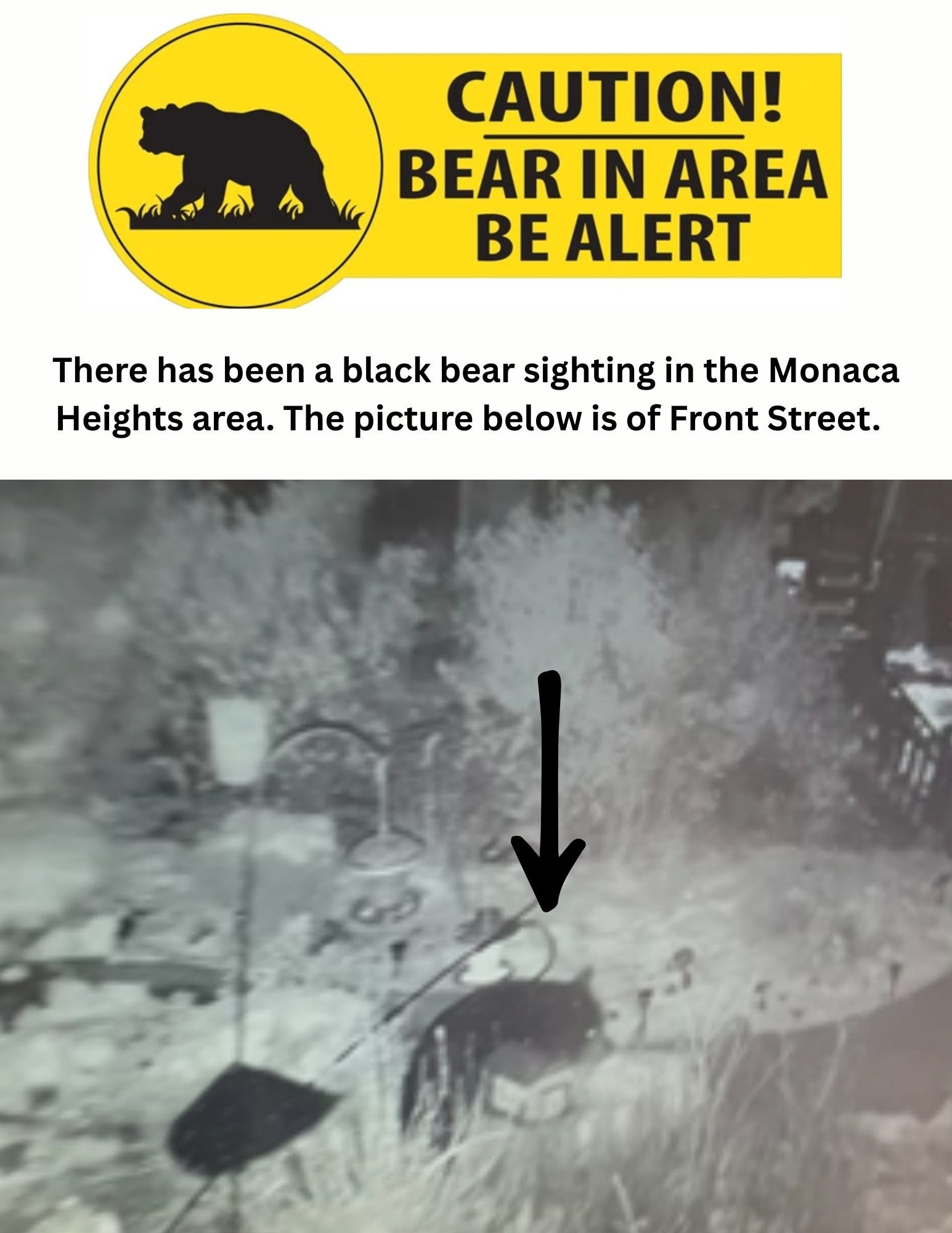 Monaca residents urged to avoid bear seen in borough