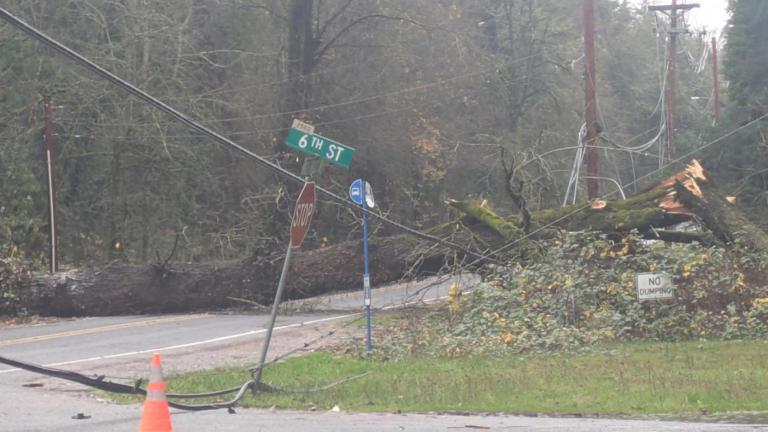 Power restored for thousands after trees fall on power lines during ...
