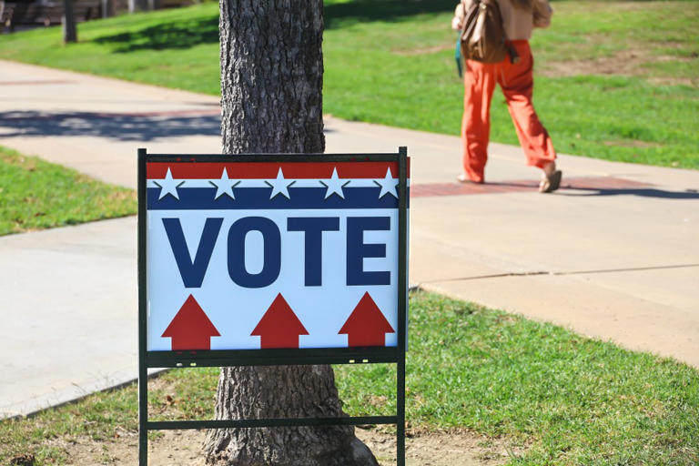 Don't let voters cancel capitalism | Opinion