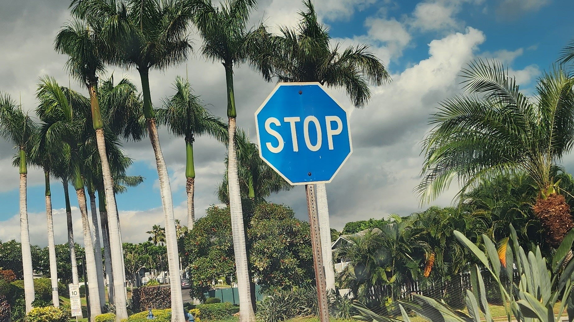 Blue stop signs explained - What they mean and where they're found