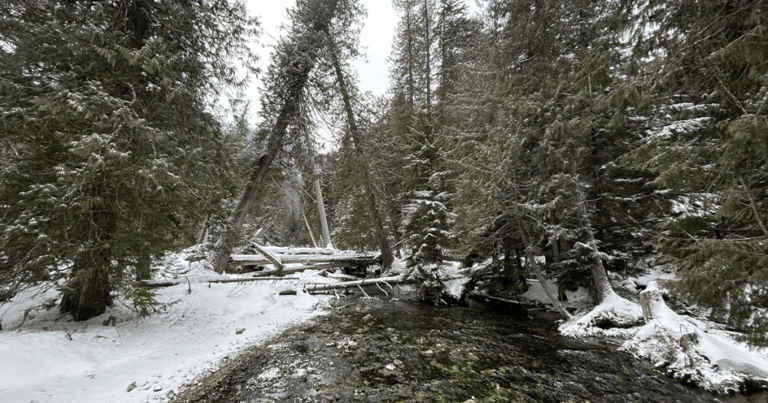 This underrated Montana trail is our go-to first hike of the year