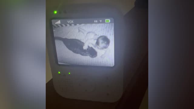 Rescue cat treats human baby as her own after losing kittens | Happily TV