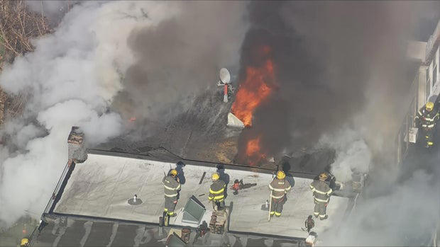 70-year-old woman dies after fire tears through rowhomes in ...