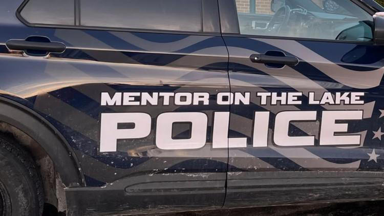 Mentor-on-the-Lake rescue: Police officer rescues woman from Lake Erie ...