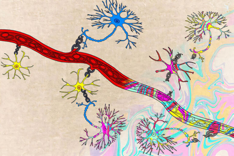 Psychedelics can disrupt normal link between brain's neuronal activity ...