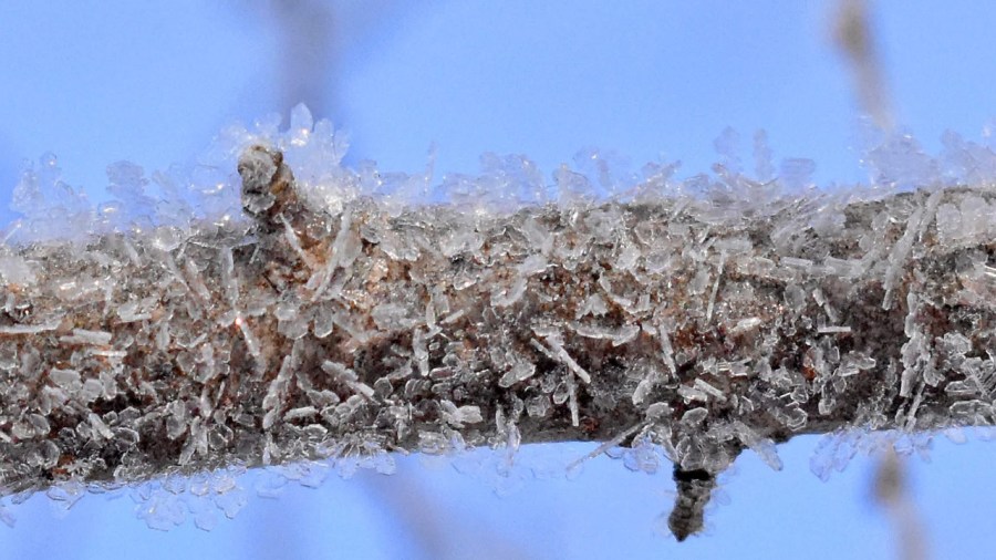 Wednesday system brings rain and snow across West Michigan