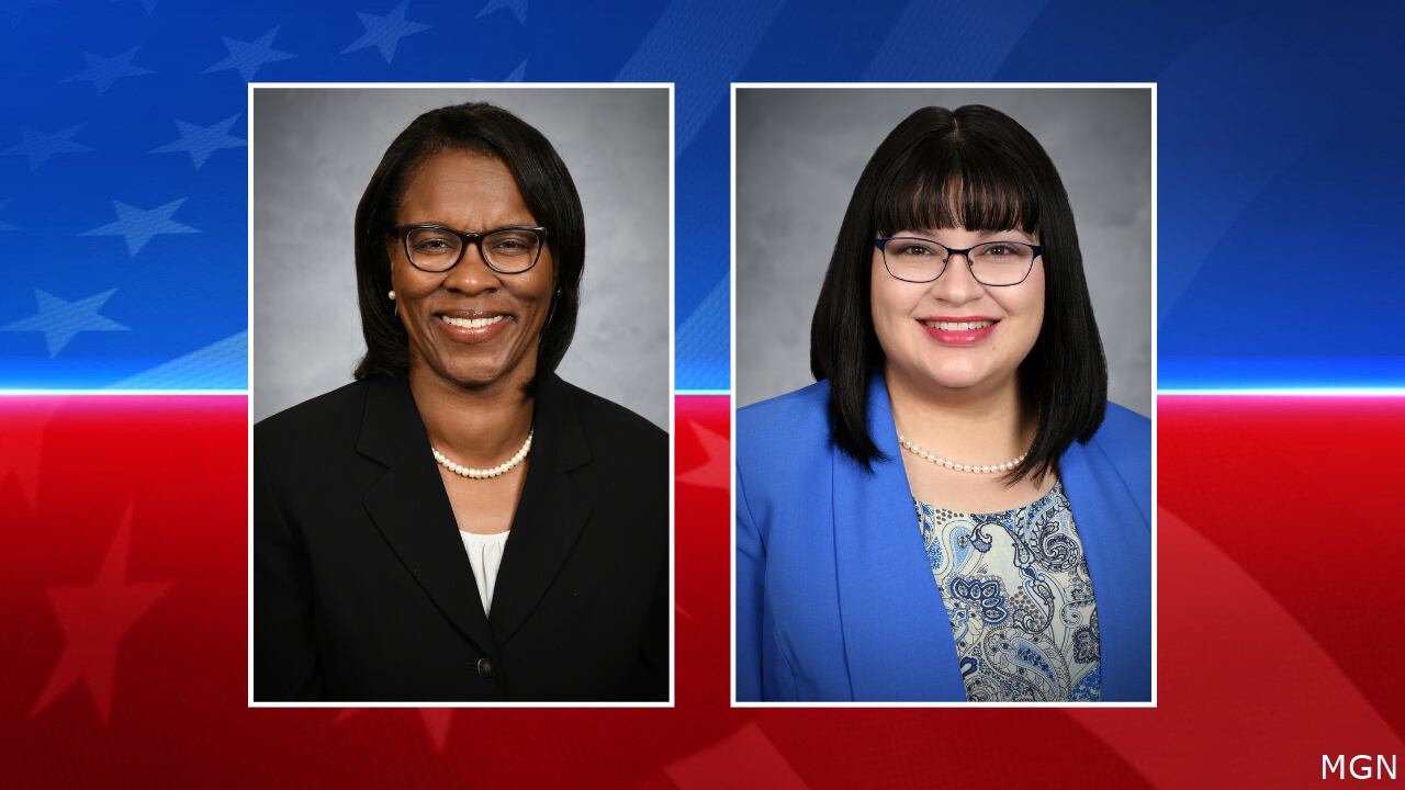 Alachua County School Board members announce new campaigns following ...
