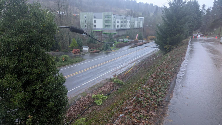 Power restored for thousands after trees fall on power lines during ...