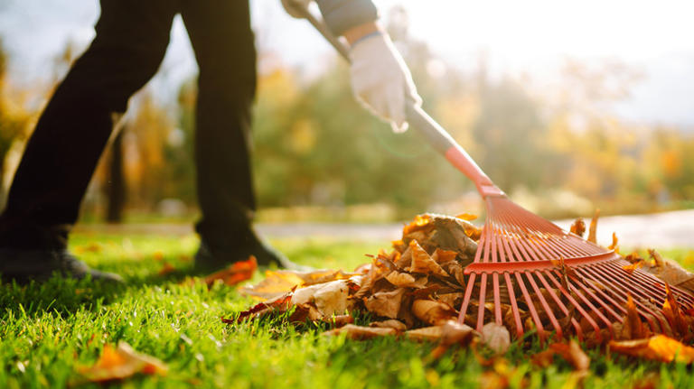The neat rake alternative that makes cleaning up leaves a breeze