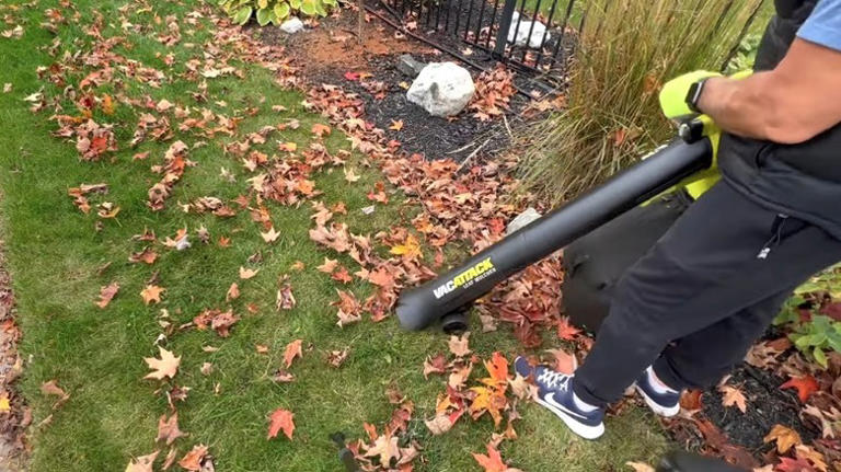 The neat rake alternative that makes cleaning up leaves a breeze