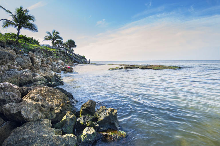 The 11 best things to do in Siesta Key, Florida