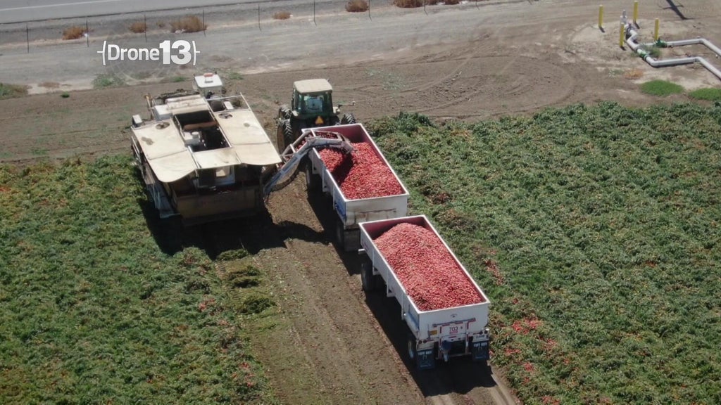 Sacramento farmer raises alarm after one of his toughest years yet