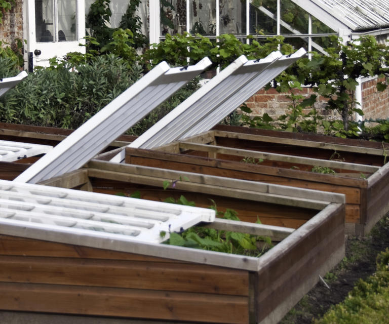 Now is the time to install a cold frame: 5 types to choose from