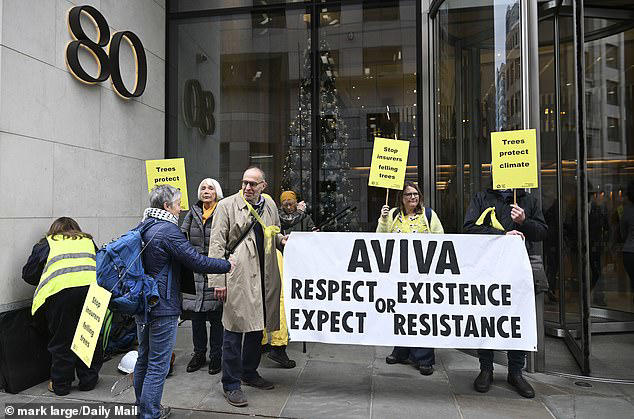 Campaigners to save 170-year-old tree 'take fight' to Aviva at UK HQ ...
