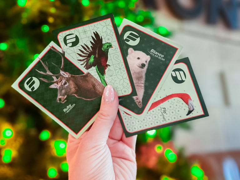 Frontier Airlines issues limited-edition holiday trading cards — here’s ...