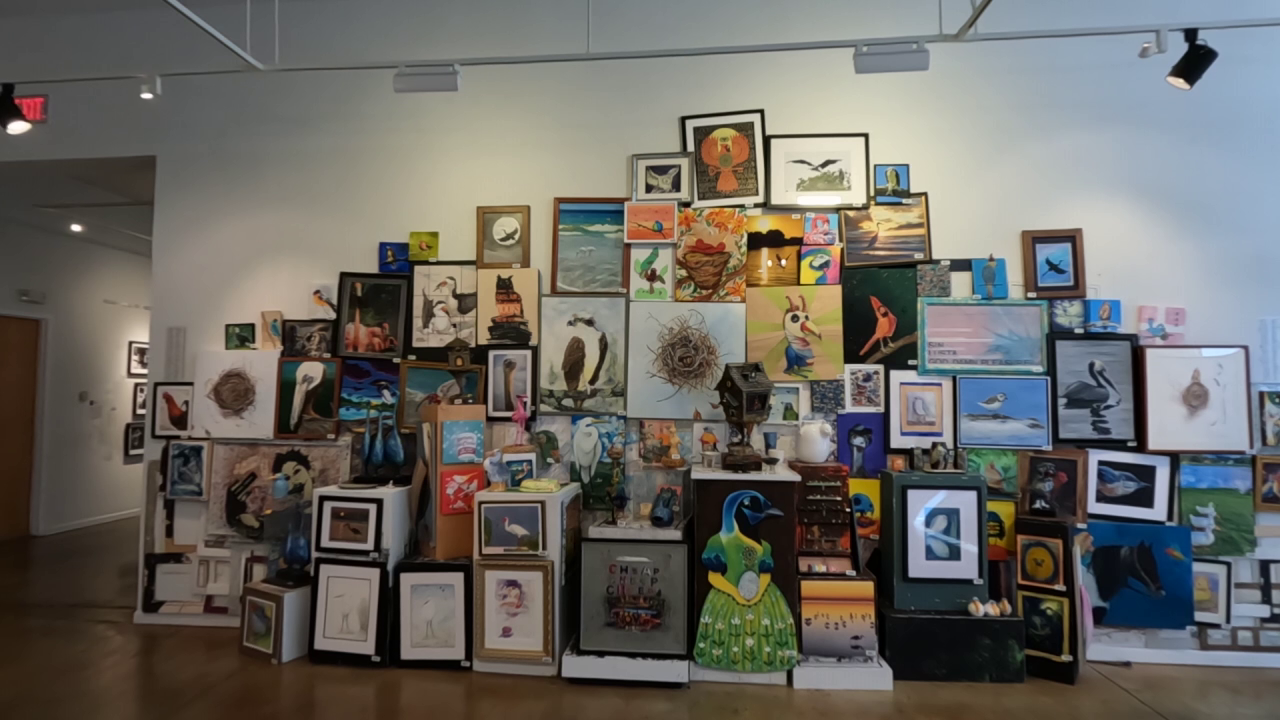 Special flock of birds on display for 'Cheap Cheep Cheeps' show at ...