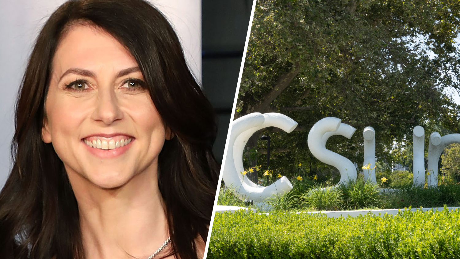 MacKenzie Scott donates additional $63M to CSUN, bringing her total ...