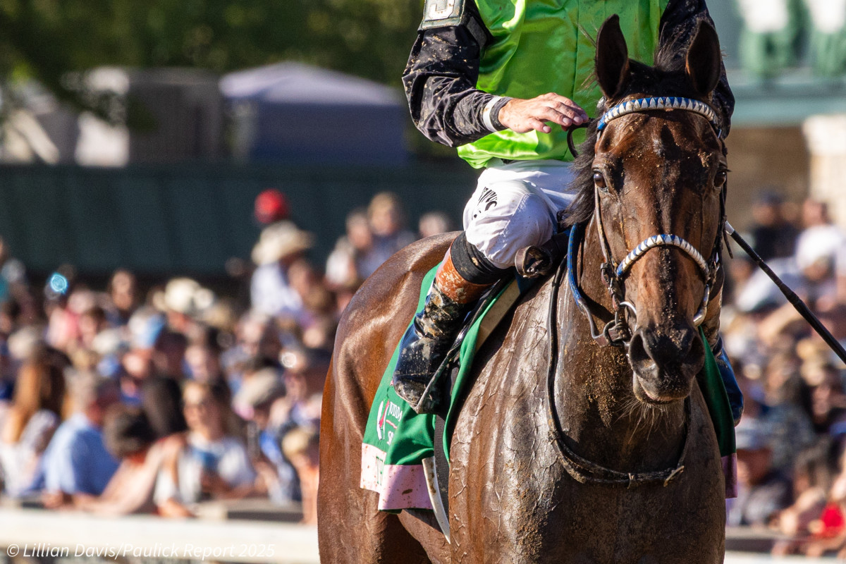 Champion Thorpedo Anna will visit Gun Runner, Curlin for first two matings