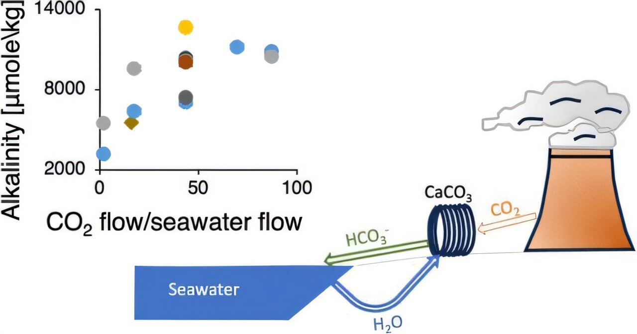 Fast-tracking a natural climate solution by compressing millennia of ...