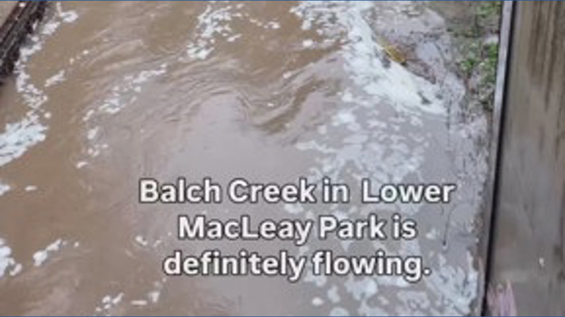 Water level rising at Lower MacLeay Park