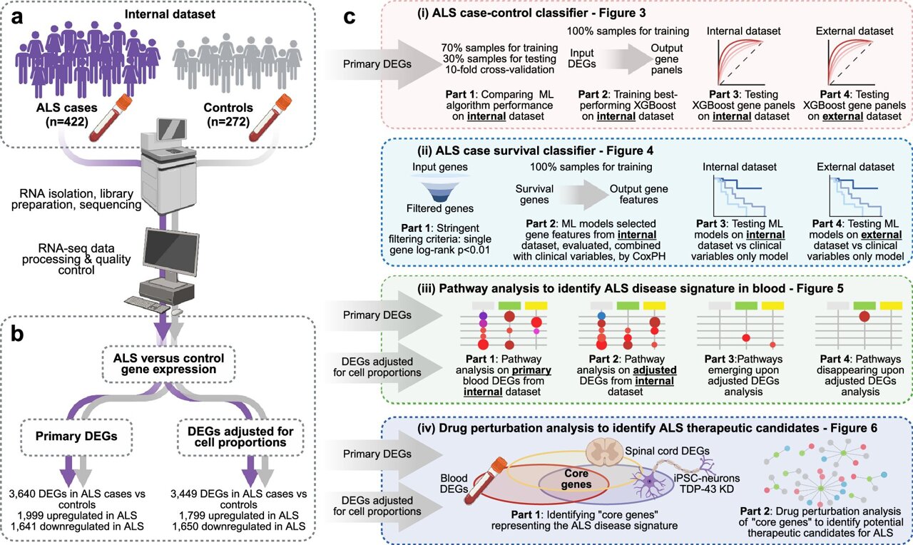 Machine learning models could help diagnose ALS earlier through blood ...
