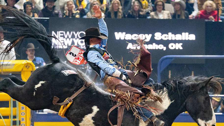 NFR rough stock average standings see big changes after first five rounds