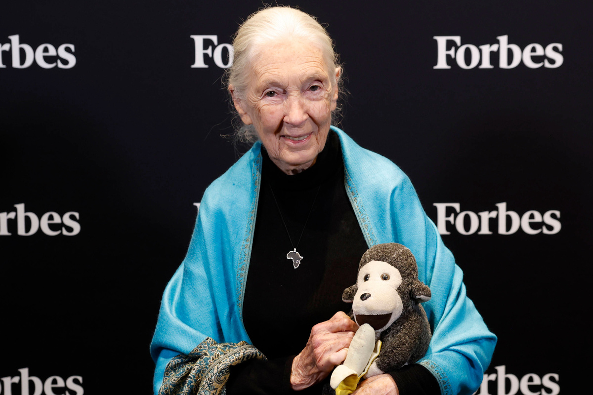 Jane Goodall, renowned primatologist and wildlife crusader, has died