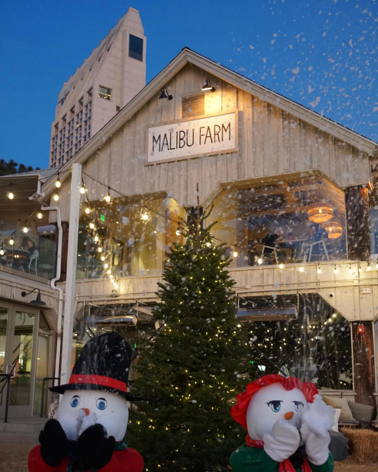 Malibu Farm brings a snowy surprise to Seaport Village
