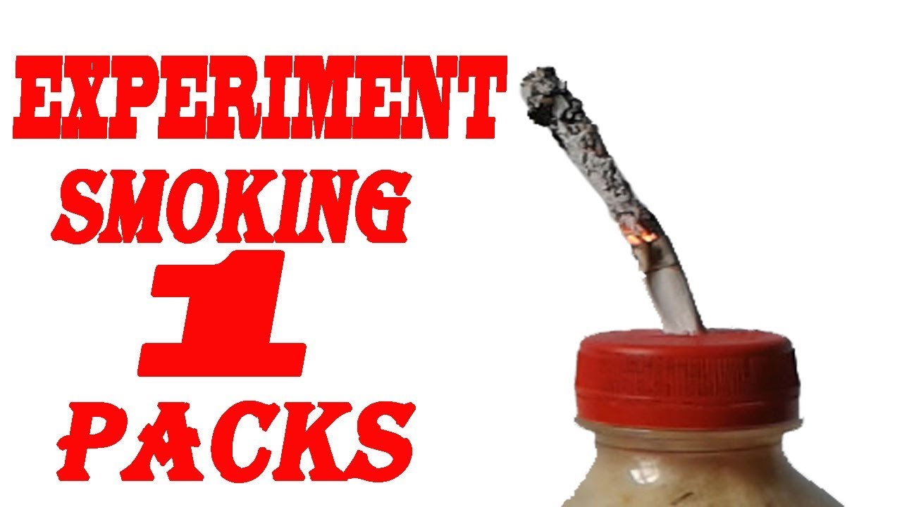 Experiment: Smoking 1 pack every day wrecks your lungs