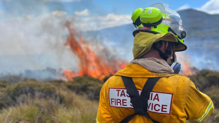 Tasmania's bushfire danger arrived suddenly. Here's how to prepare