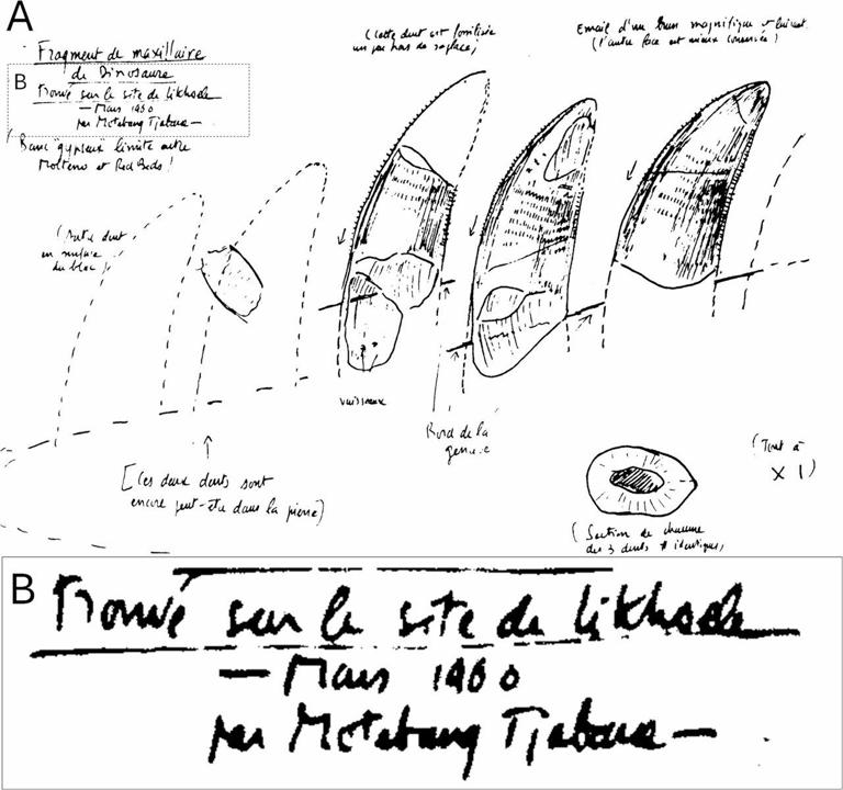 Fossil science owes a debt to indigenous knowledge: Lesotho missionary ...