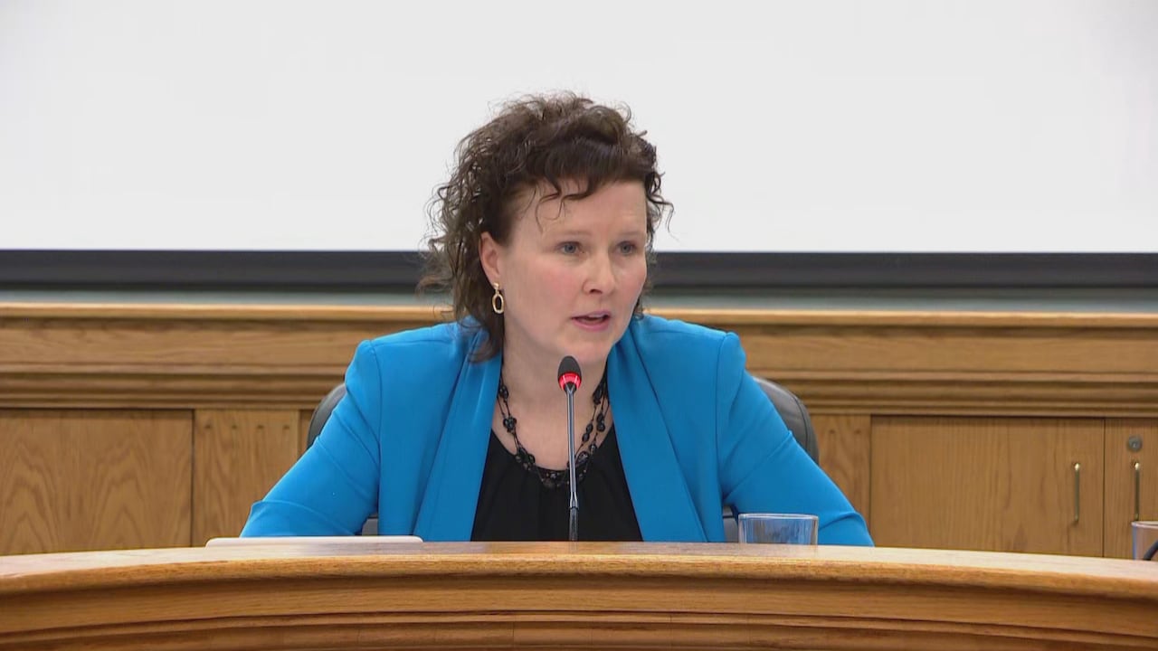 Auditor's report highlights gaps in Sask. child care deal, government ...