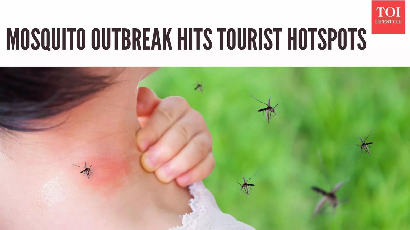 Travelling soon? An untreatable mosquito disease is exploding across 4 ...