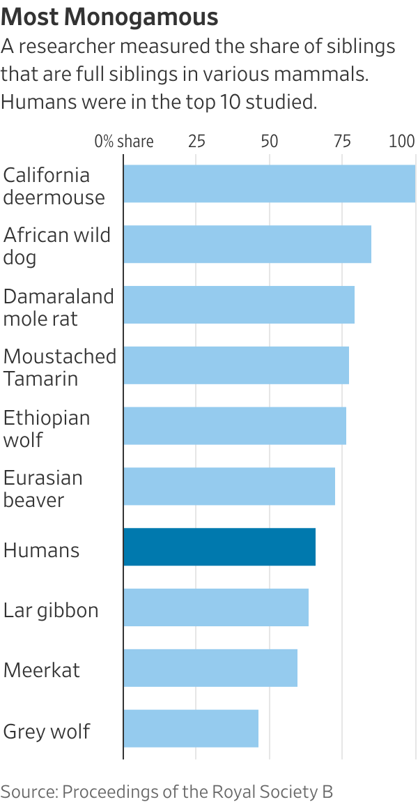 A scientist produced a monogamy ranking of dozens of mammals, including us