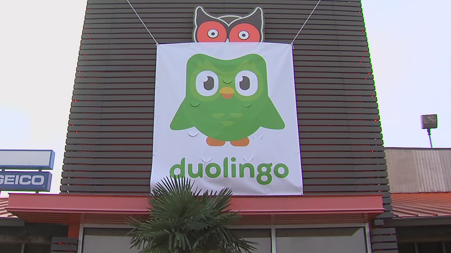 Duolingo owl swoops into former Beaumont Hooters location, temporarily