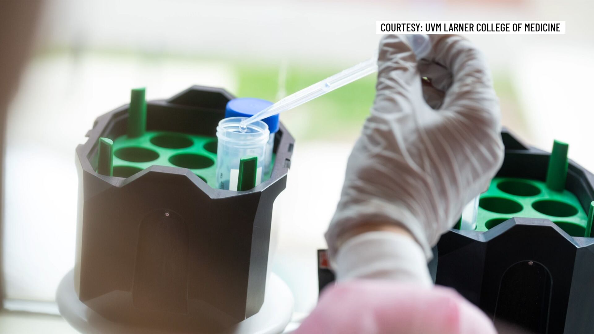 UVM team, local volunteers contribute to dengue vaccine breakthrough