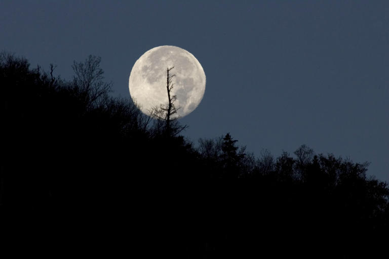 What is moonshine? Everything you need to know about the infamous spirit