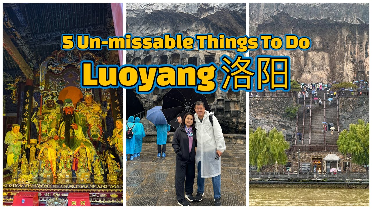 Top things to do in Luoyang | Longmen Grottoes, Guanlin & White Horse ...